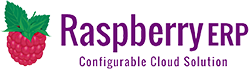 Raspberry ERP: A Very Configurable Solution